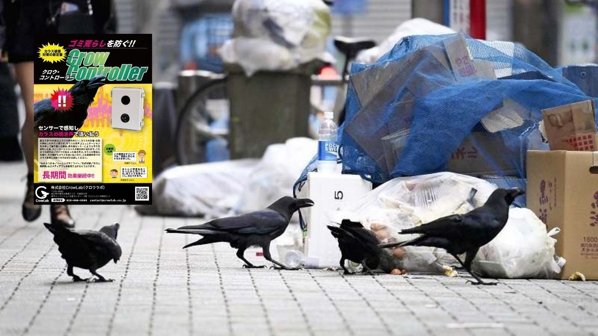 Keeping trash safe: Tokyo battles crow nuisance with high-tech ‘crow ...