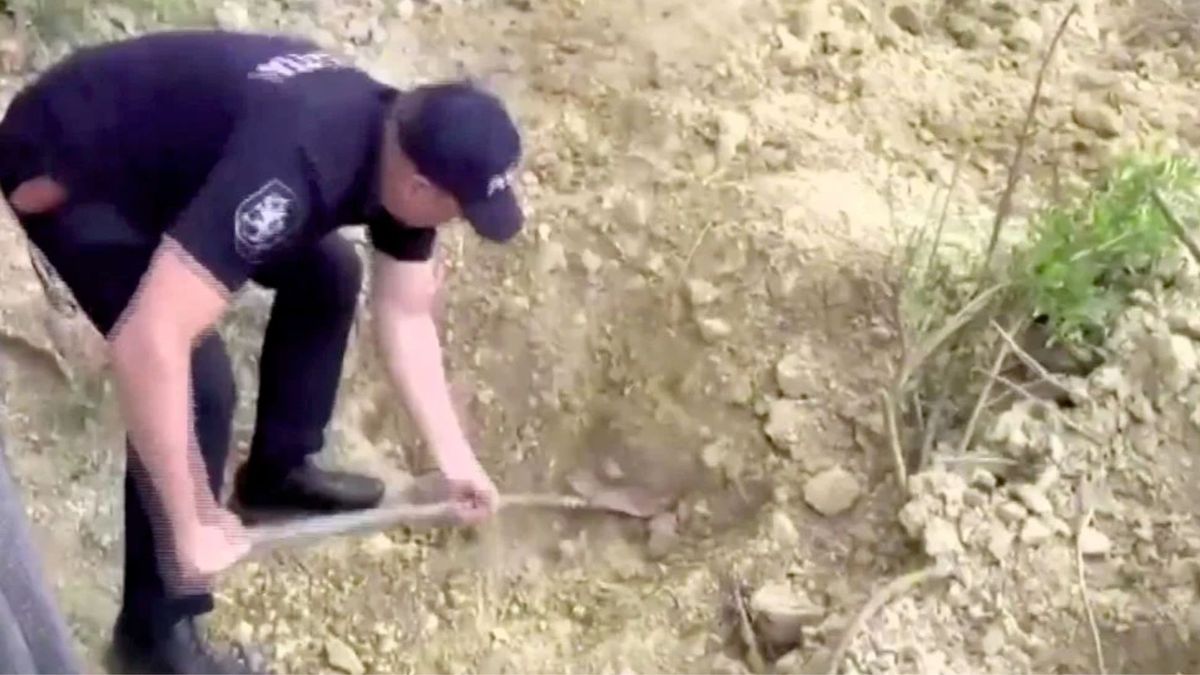 62-year-old buried alive for four days rescued after police hear ...