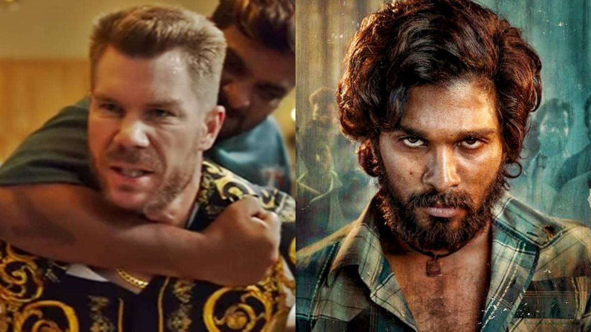 Watch: David Warner turns into Pushpa in new ad; Allu Arjun reacts