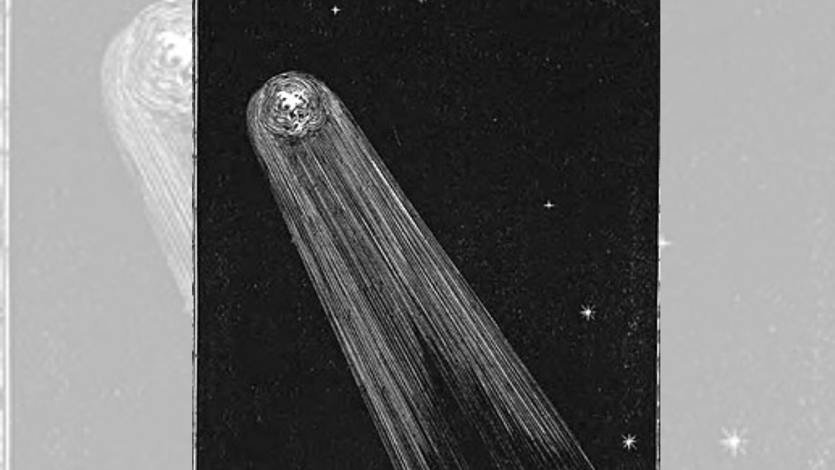 Comet 13POlbers visits us once every 68 years. This is when you can see it