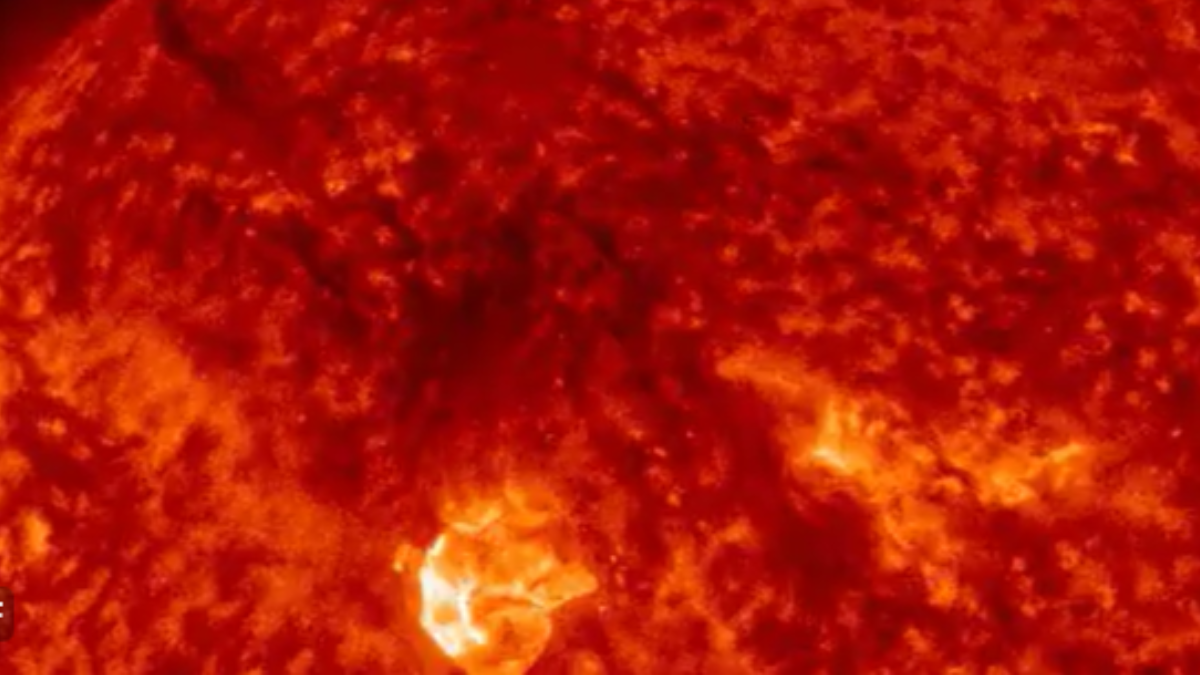 WATCH: NASA captures Sun's 'dark' plasma wildly exploding, hitting ...