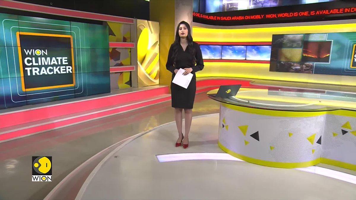 Birth of a baby shark inside the Dubai aquarium