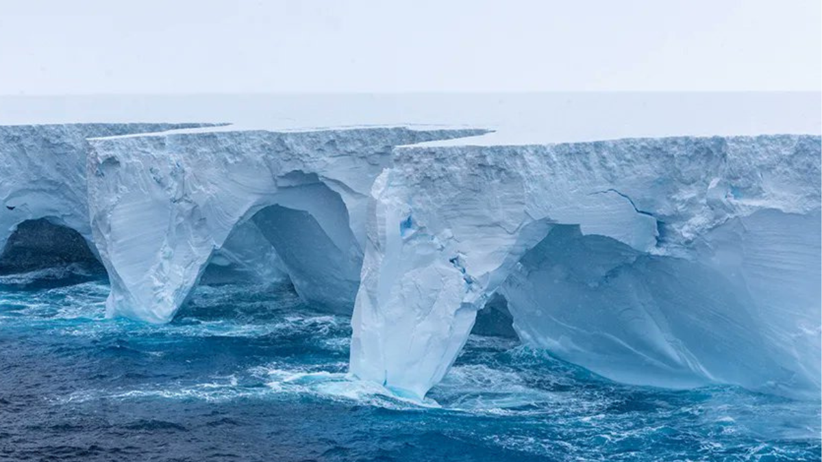 World's biggest trillion-tonne iceberg breaks free, drifts in Southern ...