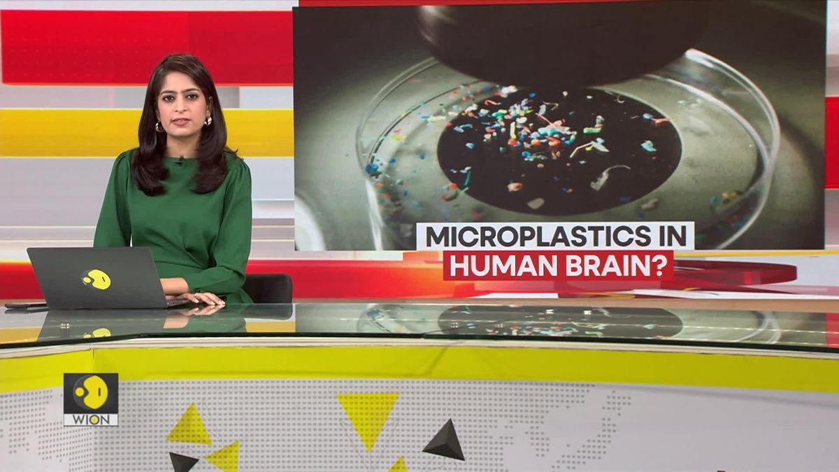 Microplastics found in human brain. What does this mean for you?