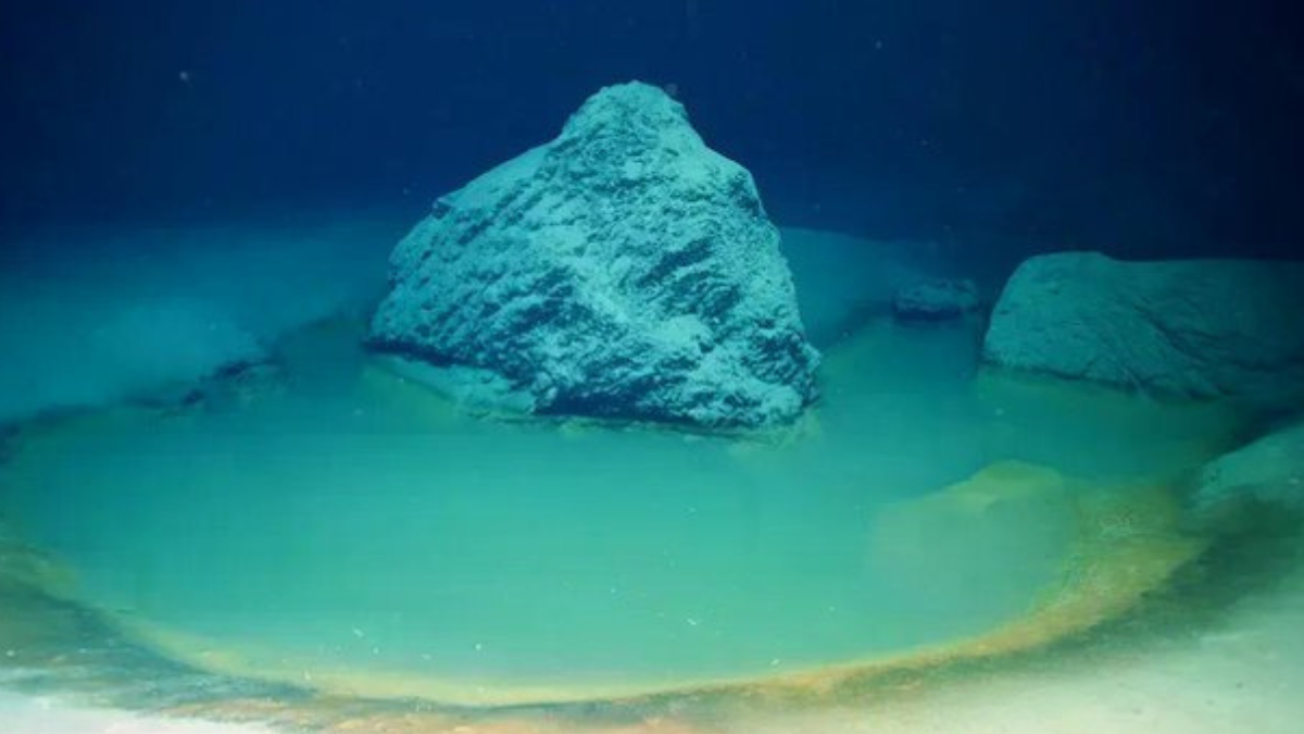 There are 'death pools' at bottom of Red Sea which can kill anything ...