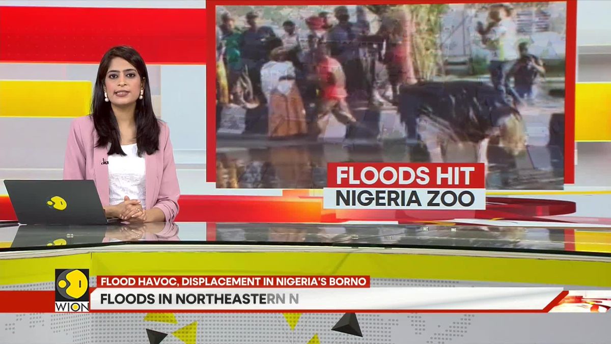 Nigeria: Thousands displaced as capital Maiduguri submerged in floods