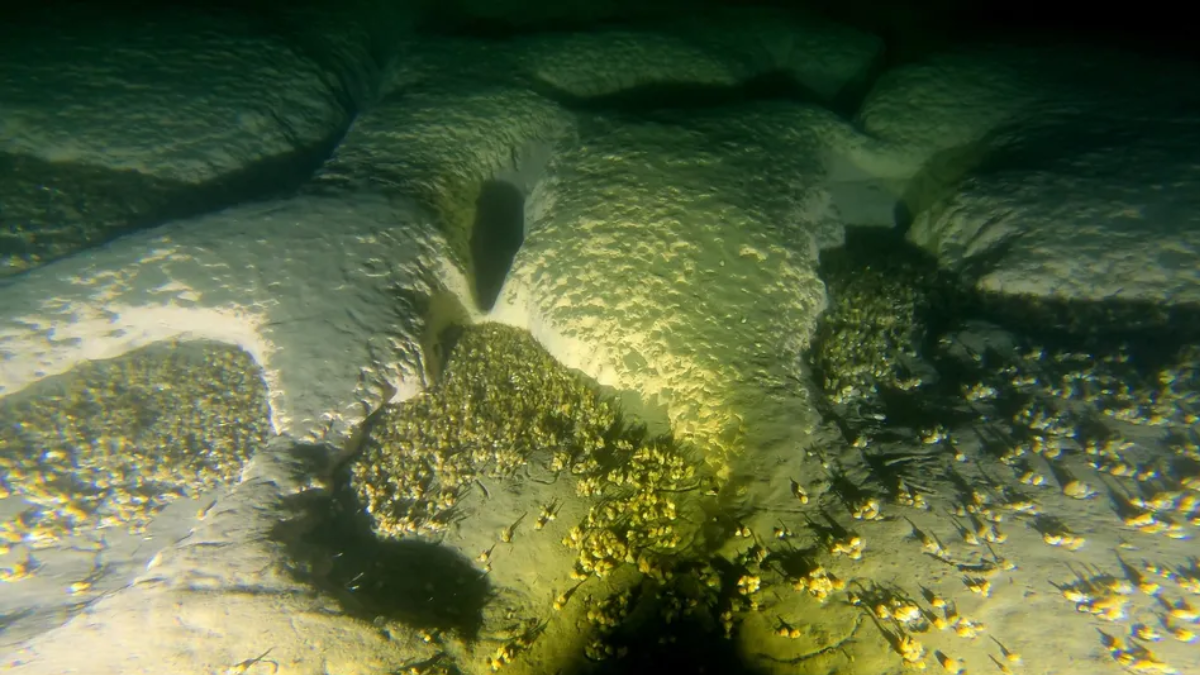 Dozens of massive craters discovered in Lake Michigan. No, asteroids ...