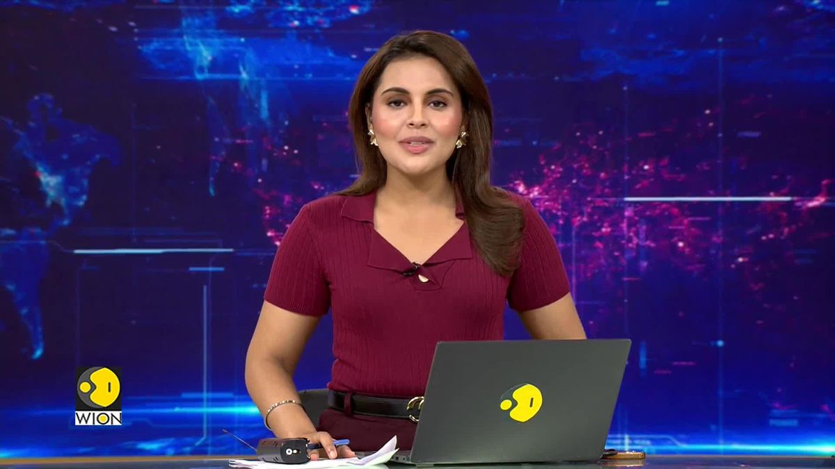 38 Dogs Walked At Once In New Guinness Record