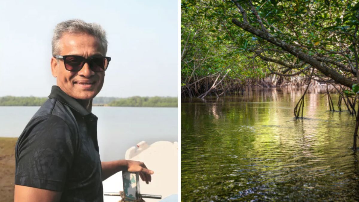 Meet Mangal Shetty who is conserving the Aganashini mangrove forest in ...
