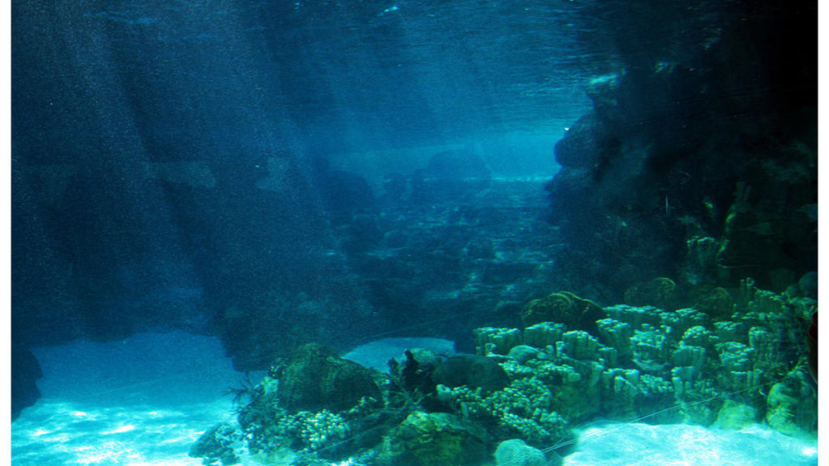 A marvellous megastructure is sitting deep inside the Pacific ...