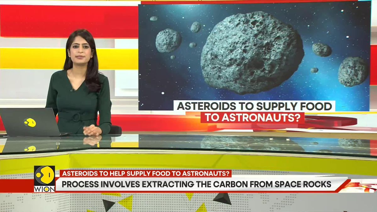 Asteroids Can Be Transformed Into Food for Astronauts: Study