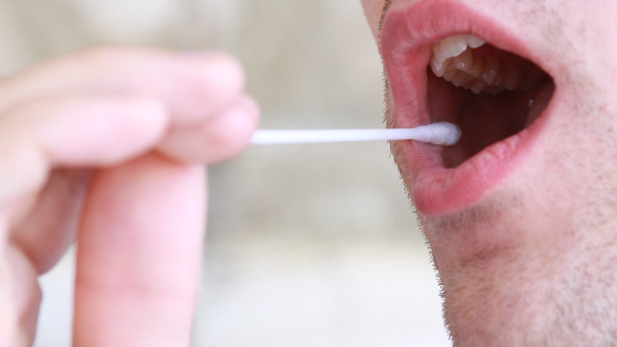 This 'biological ageing' test can tell if you are going to die in one ... This 'biological ageing' test can tell if you are going to die in one ...
