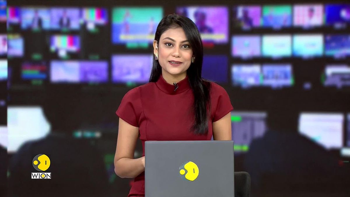 Celebrating 50 Years Of Iconic Adorability