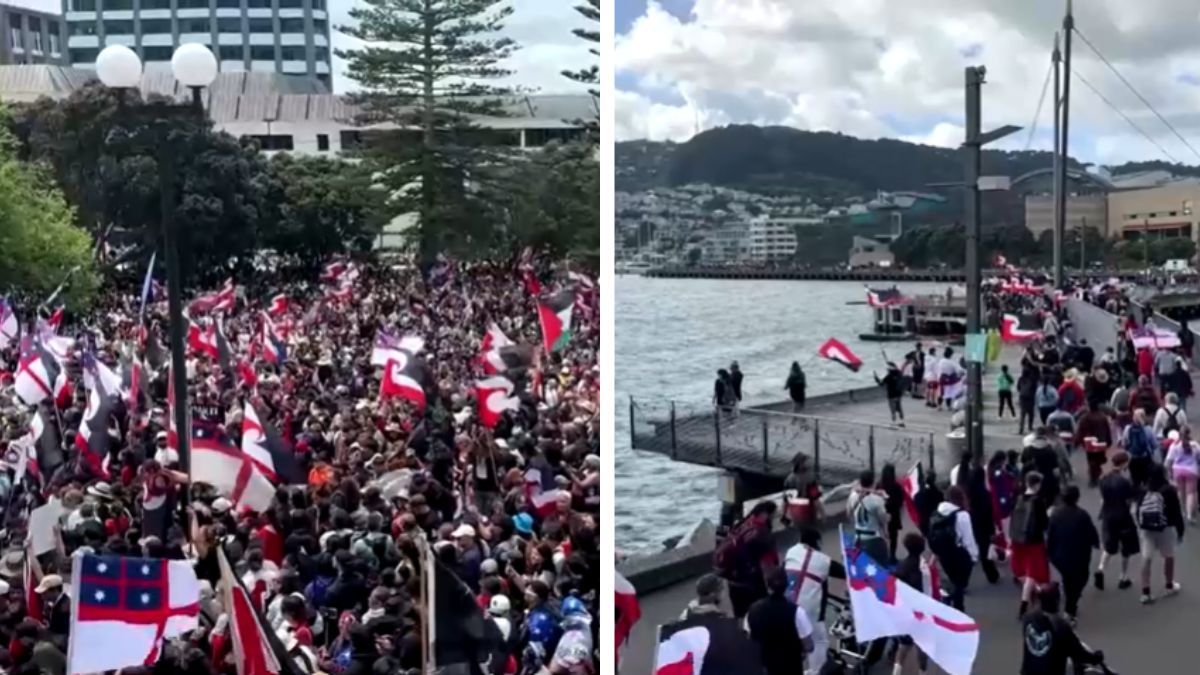 Over 40,000 people protest outside New Zealand's parliament over ...