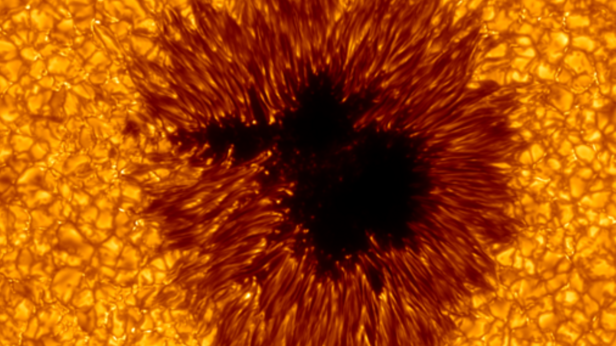 Huge sunspot will soon face Earth and spew flares towards us. Is that a ...