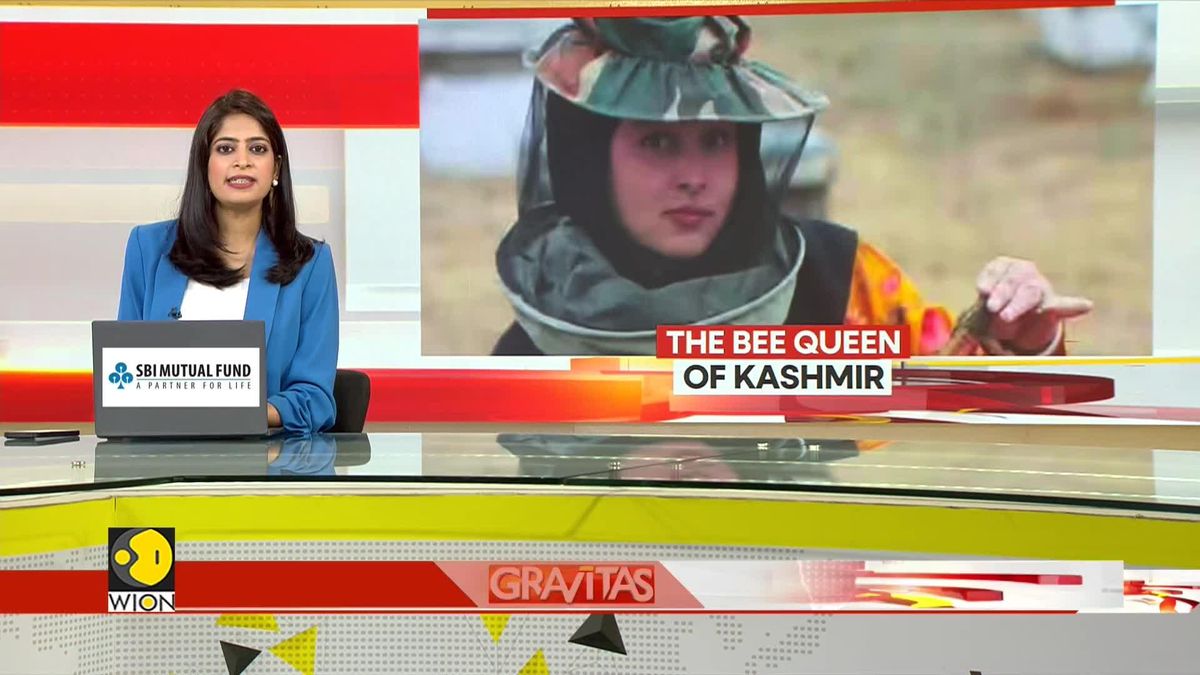 Bee Queen Of India's Jammu & Kashmir