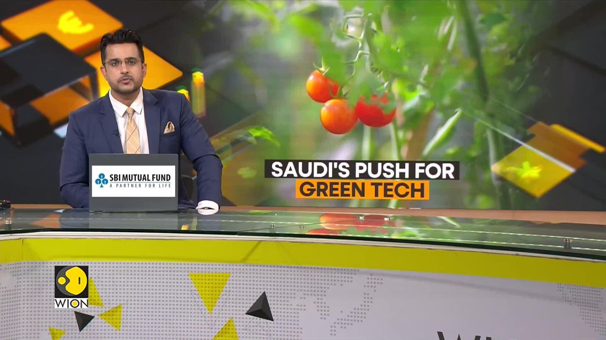 Saudi’s Green Tech Promises: Can They Deliver On Desertification?