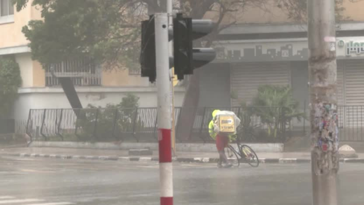 Cuba's national power grid collapses after largest plant failure amid ...
