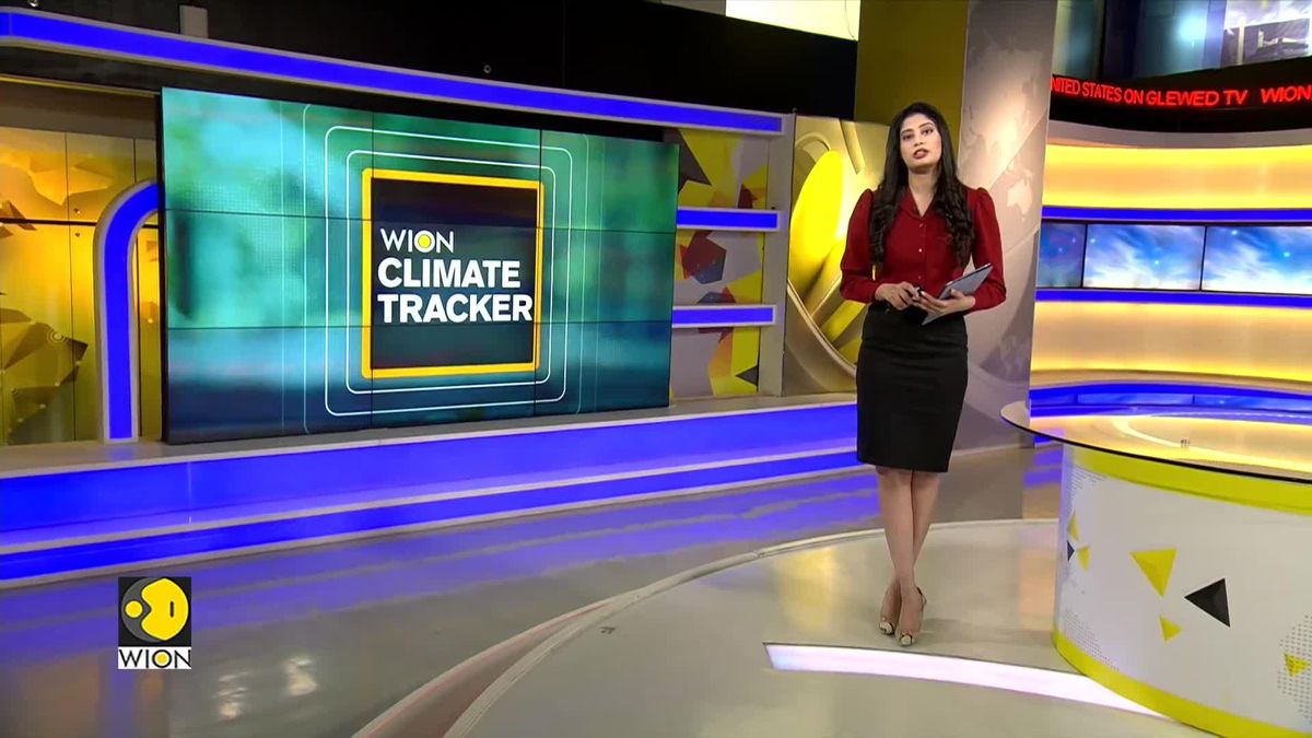 Warming Climate Shifts Whale's Migratory Path | WION Climate Tracker Warming Climate Shifts Whale's Migratory Path | WION Climate Tracker