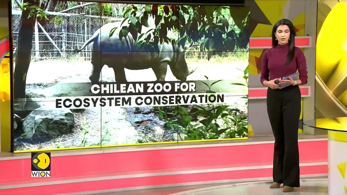 Chile's Step Towards Environmental Conservation