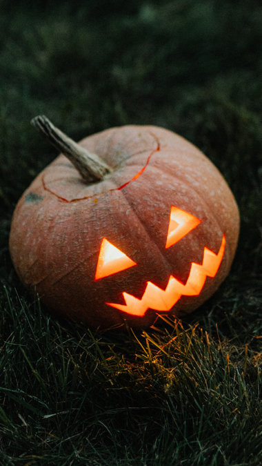 10 Horror Comedies to Watch This Halloween