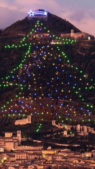 Inside World’s Largest ‘Christmas Tree’