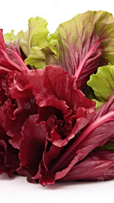 7 Health Benefits of Red Leaf Lettuce