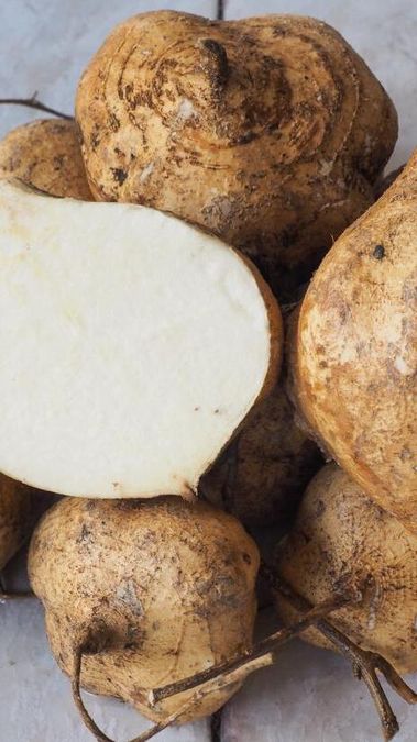 5 Health Benefits of Jicama
