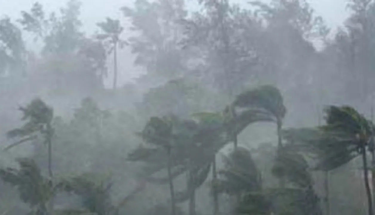 Odisha Weather Update These 7 Districts To Experience Thunderstorm And