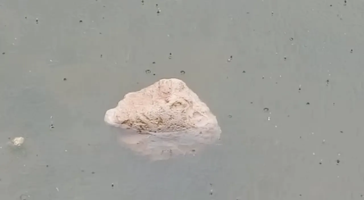 [Watch] Stone found floating in water in Odisha