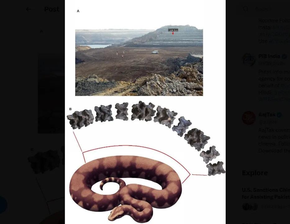 IIT Roorkee team finds giant ancient snake fossil in Gujarat