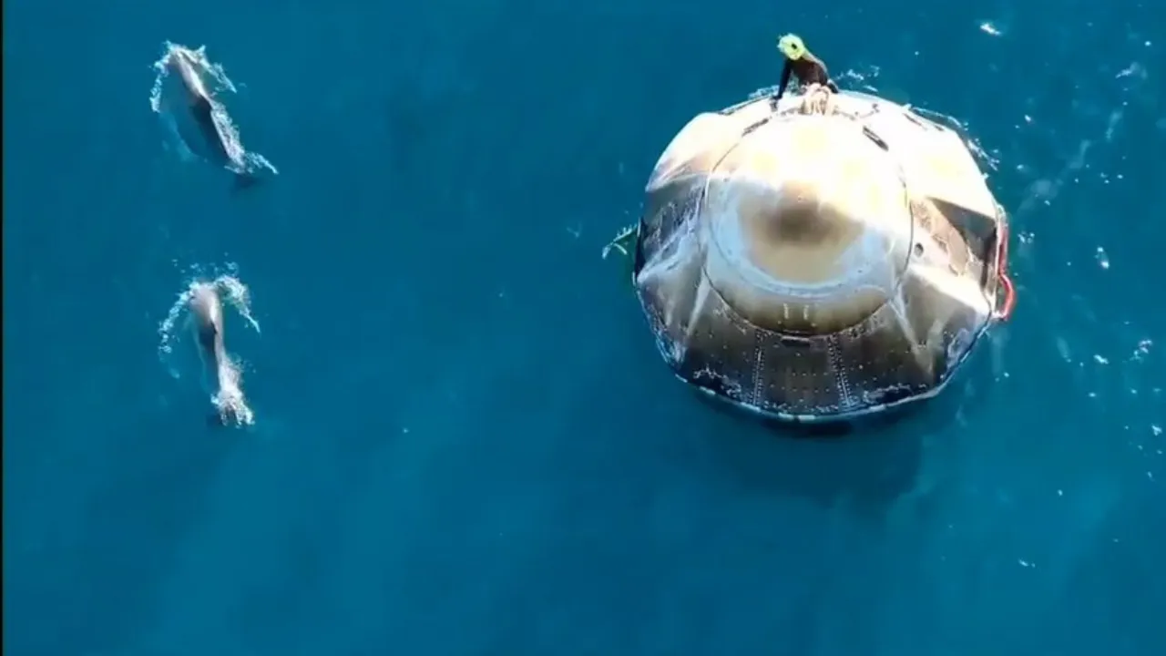 WATCH: Dolphins 'welcome' Sunita Williams and Butch Wilmore on Earth in magical moment from NASA ...