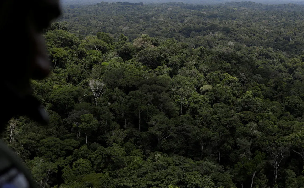 Deforestation of Brazilian Amazon hits record in April