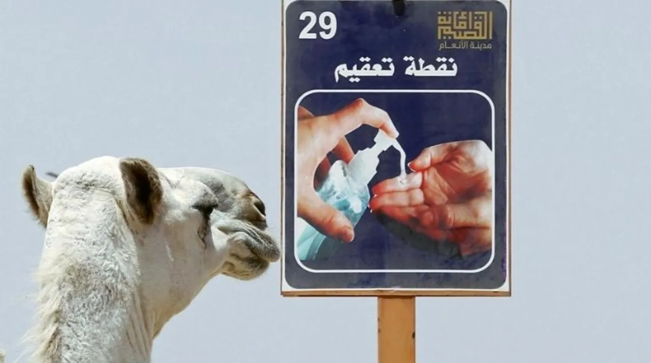 Saudi Arabia opens world's largest camel hospital and research facility
