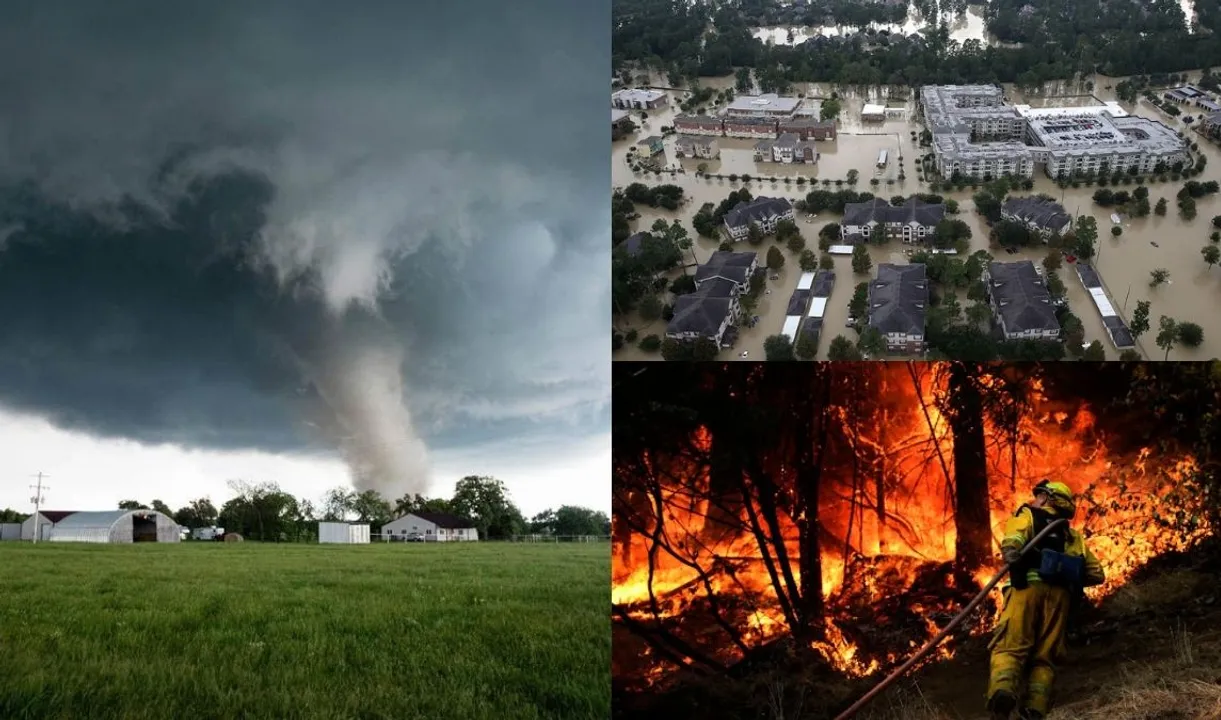 From storms to wildfires: Natural and man-made disasters cost insurance ...