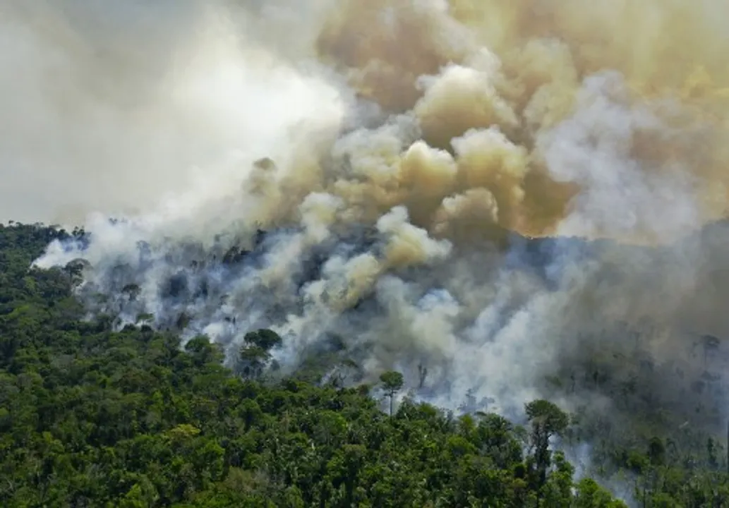 In pics: Brazil's Amazon deforestation surges 22% in a year, highest in ...