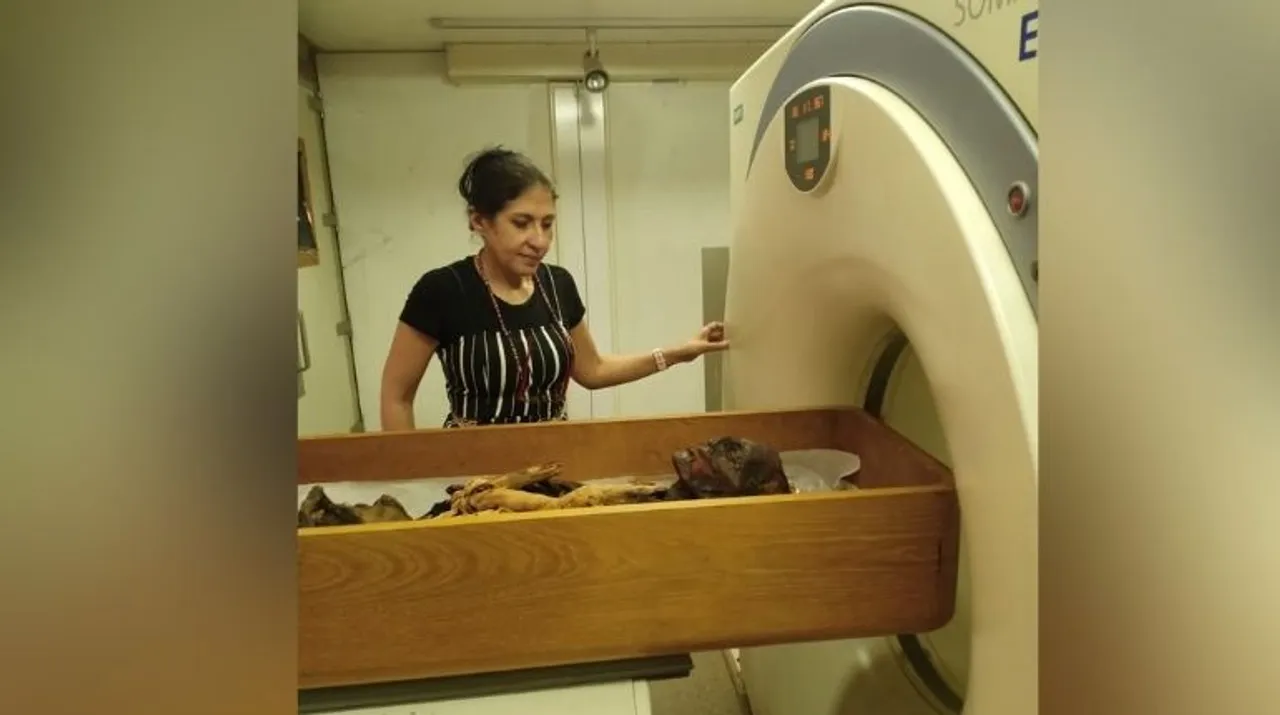 Egyptian pharaohâ s 3,500-year-old mummy gets unwrapped digitally for ...