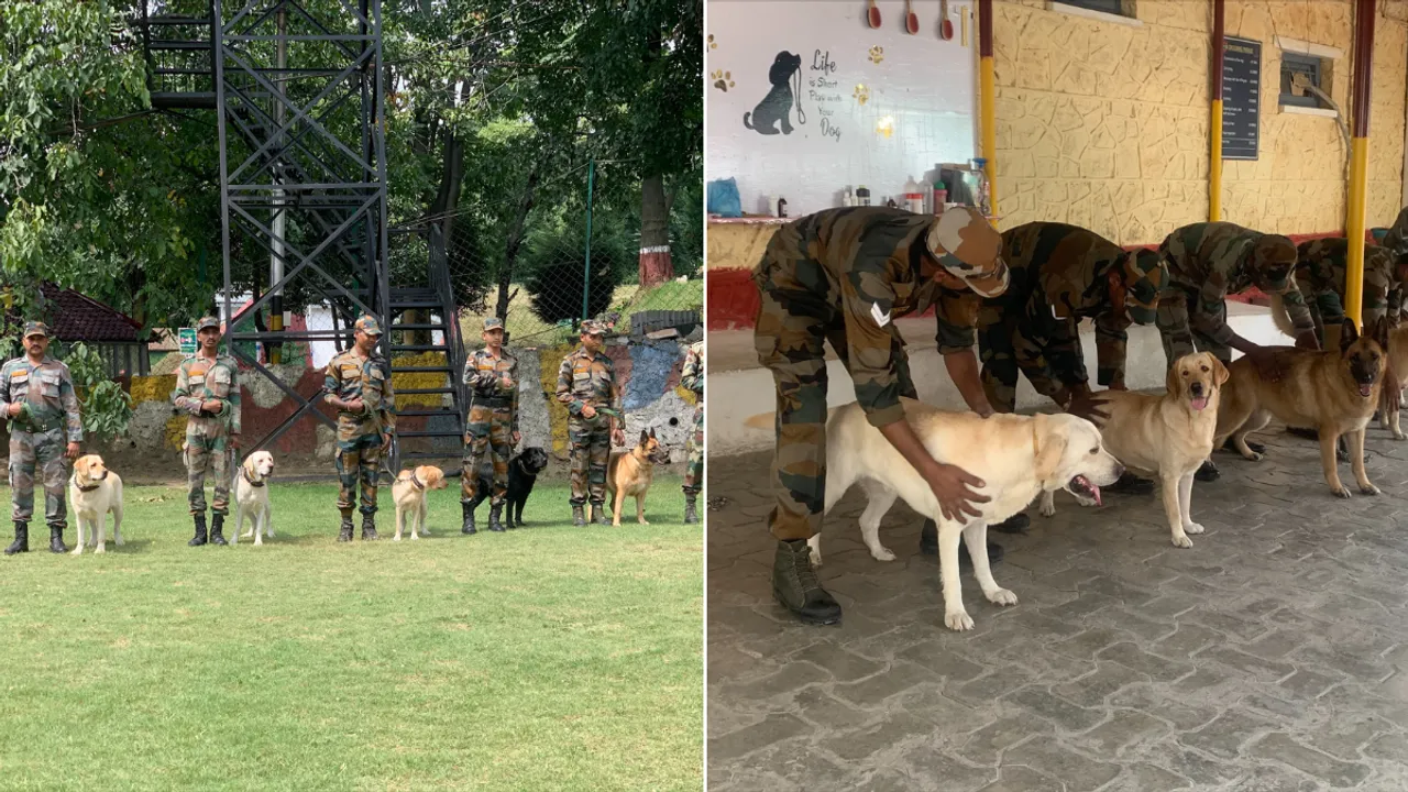Indian Army's dog squad, a reason for safe and successful anti-terror ...