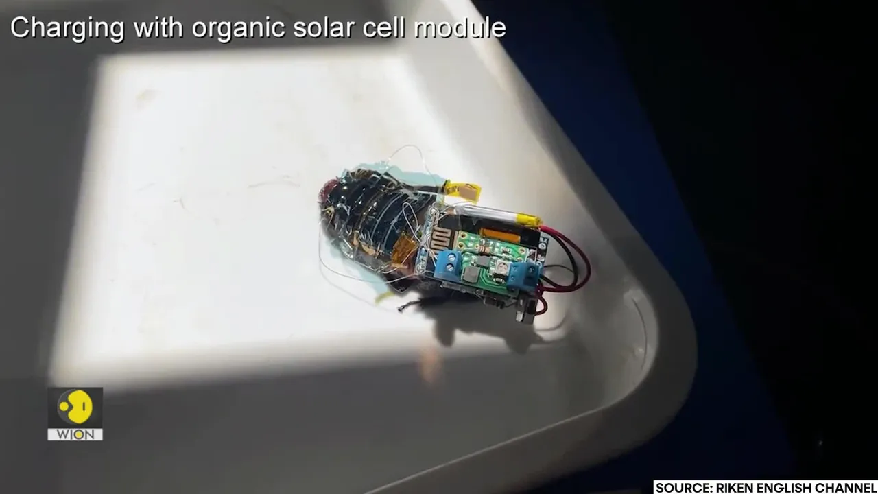 Scientists create a solar-powered, remote-controllable cyborg cockroach