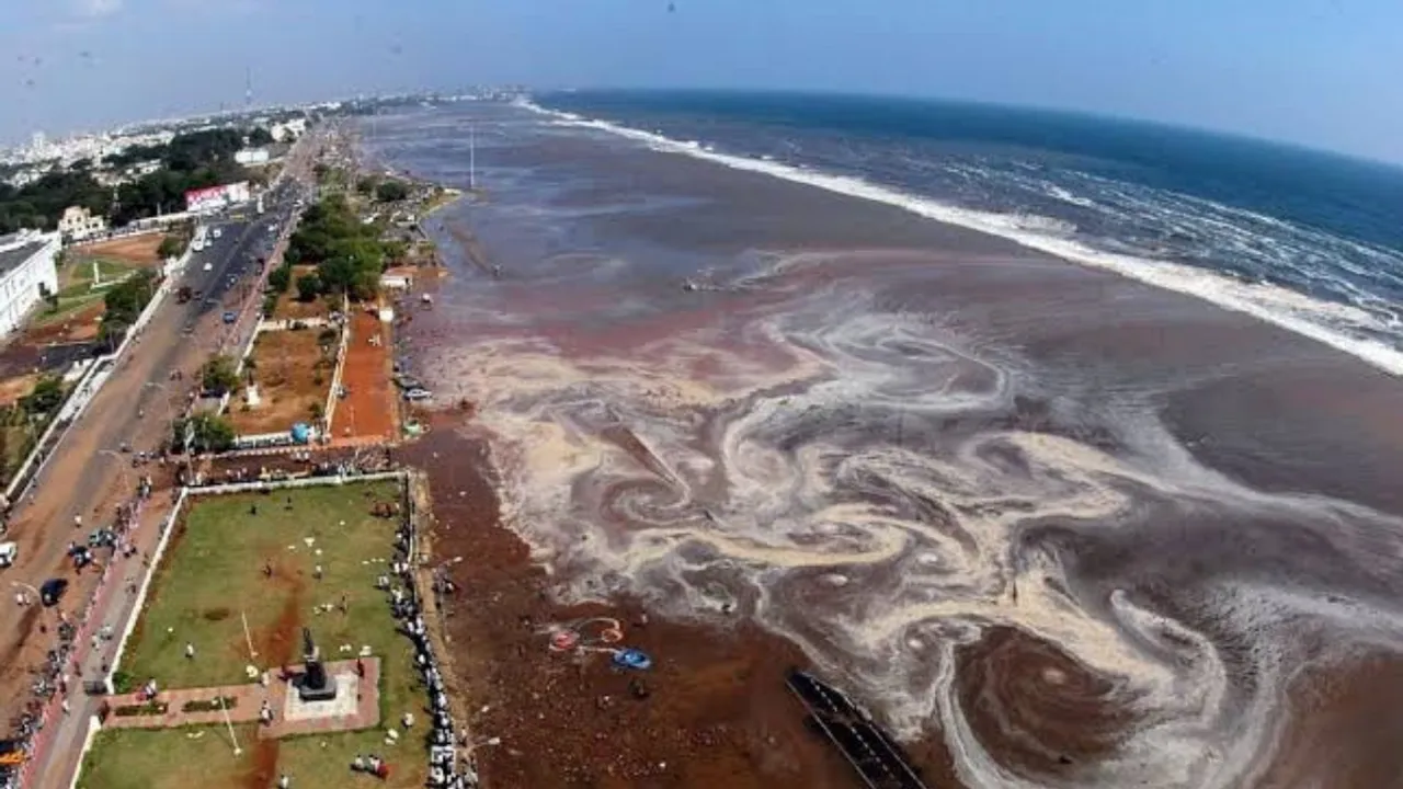 2004 Tsunami: 18 years of devastating event, people pay tearful homage ...