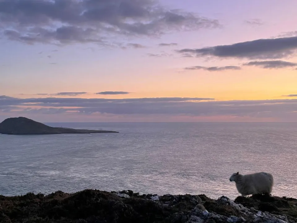 Welsh island 'Ynys Enlli' gets award for its ultra-low light pollution ...