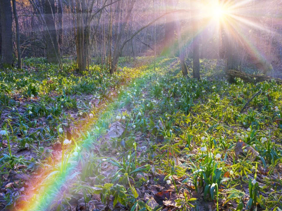 Spring equinox 2023: What is spring equinox & when will it occur? Here ...