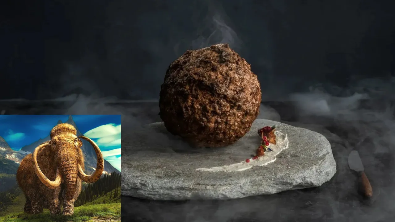 Back to Ice Age? Meat taste of extinct mammoth brought back without ...
