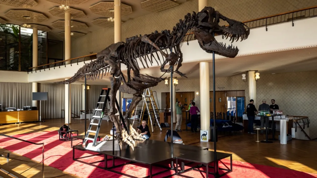 IN PICS | 67-million-year-old T-Rex skeleton on display ahead of auction