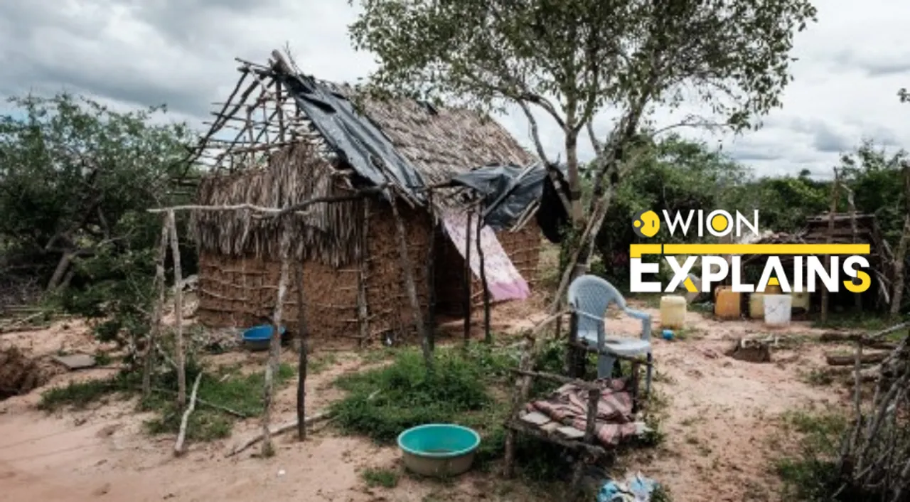 Explained: All about the macabre Kenya starvation death cult, whose ...