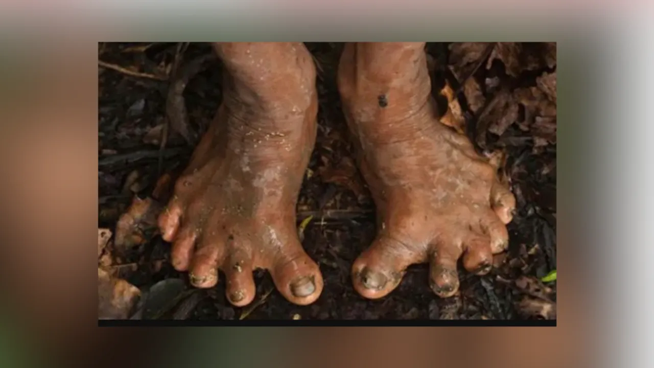 Life and culture of Huaorani tribe - an Indigenous community in the ...