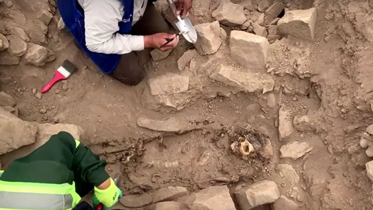 Peruvian archaeologists discover over 3,000-year-old mummy in Lima
