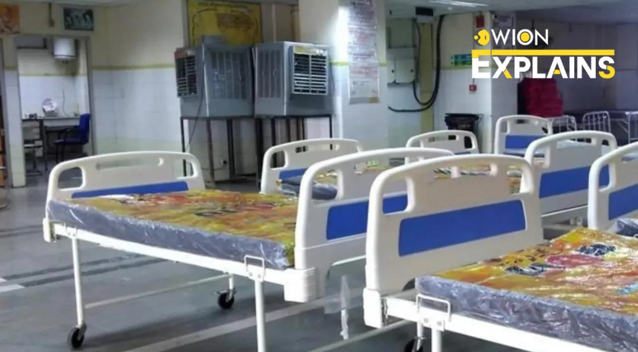 Explained | What is Scrub Typhus? Deadly mite-borne infection claims 14 ...