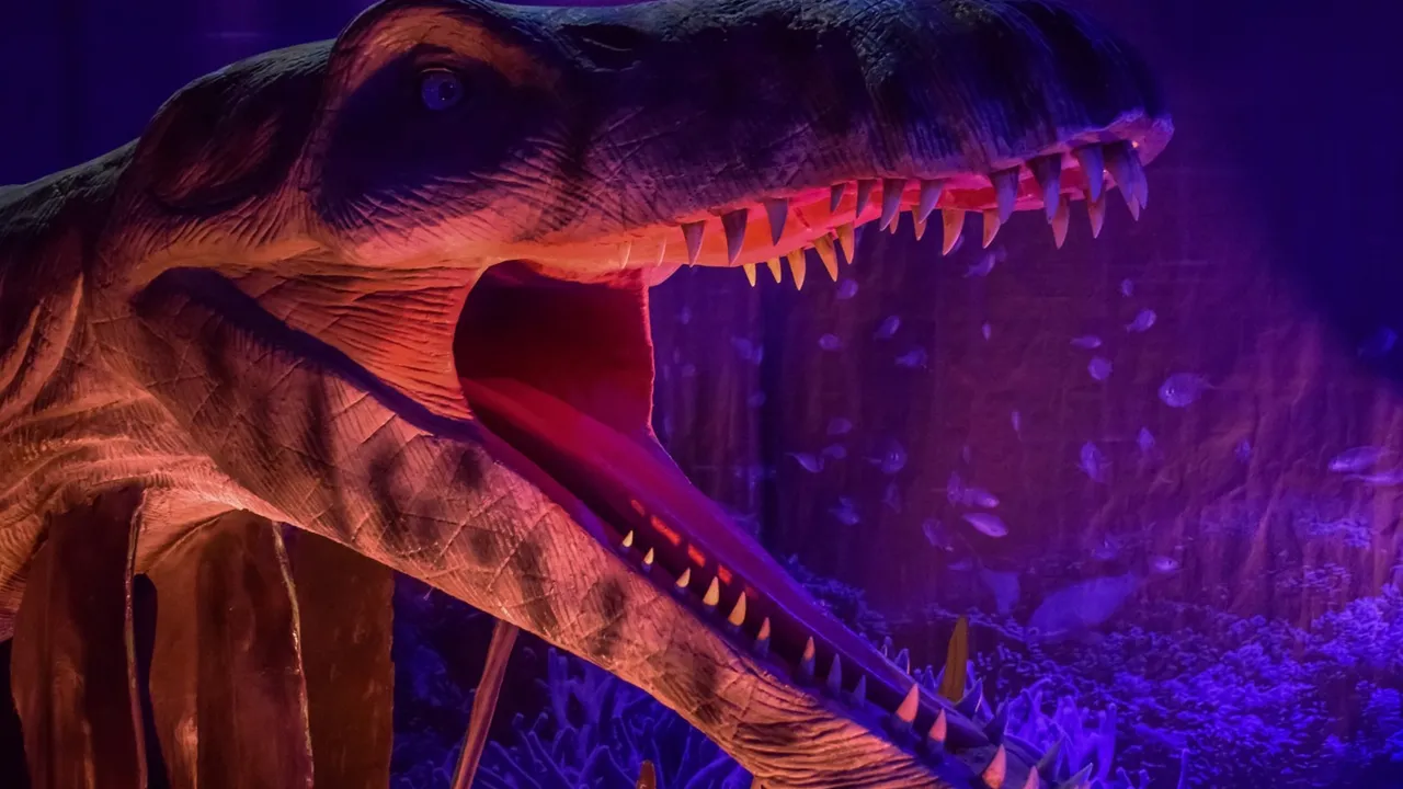 Massive pliosaur sea monster skull on display at UK’s Etches Collection