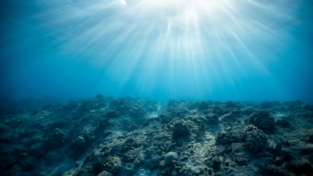 Mysterious seismic activity reveals an upside-down section of ocean crust